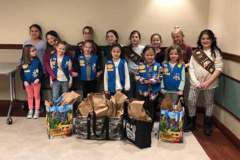 Brookdale Avenue School 3rd Grade Brownie and Kindergarten Daisy Troops ...