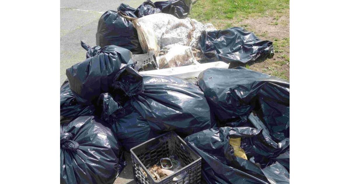 Volunteers Wanted: Bayonne Earth Day Cleanup Set for April 26 | Bayonne ...