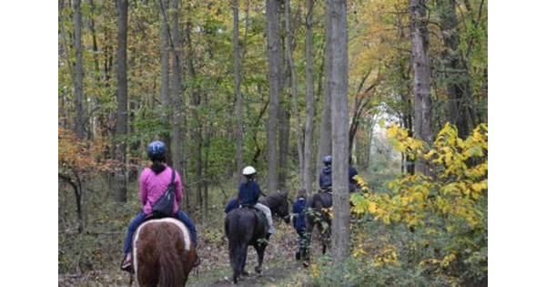 Saddle Up: Trail Riding Program to Return at Mercer County Stables | Hamilton/Robbinsville, NJ ...