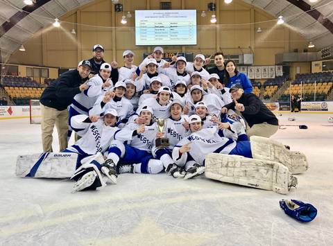 Blue Devils: Highlights of the Westfield High School 2019 Boys Hockey Season | Westfield, NJ ...