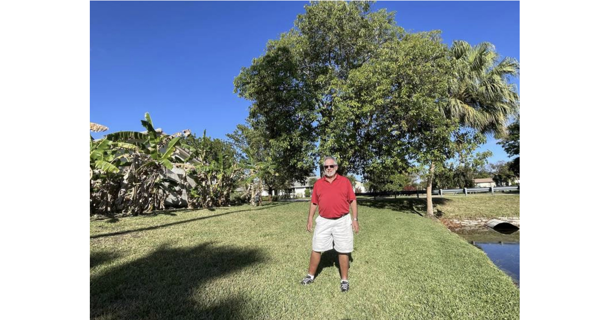 Officials: Coral Springs Improvement District Could Be Fined For Going Forward with Tree-Cutting ...