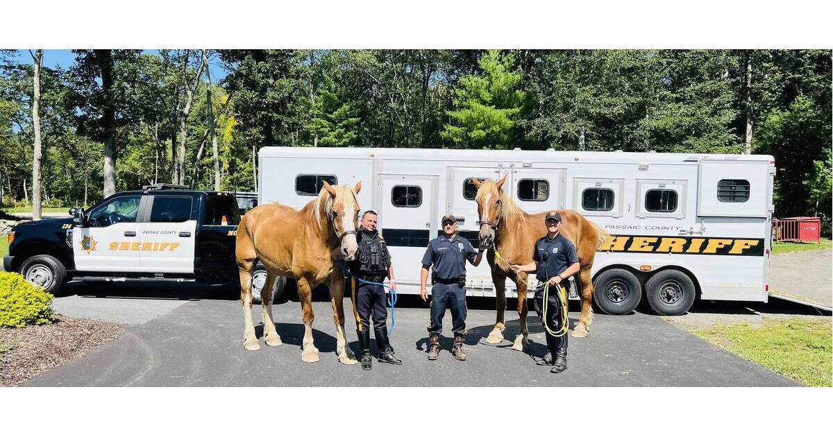 Passaic County Sheriff’s Office Mounted Division Horses Retire, Transition to Elite Equine 3 for ...