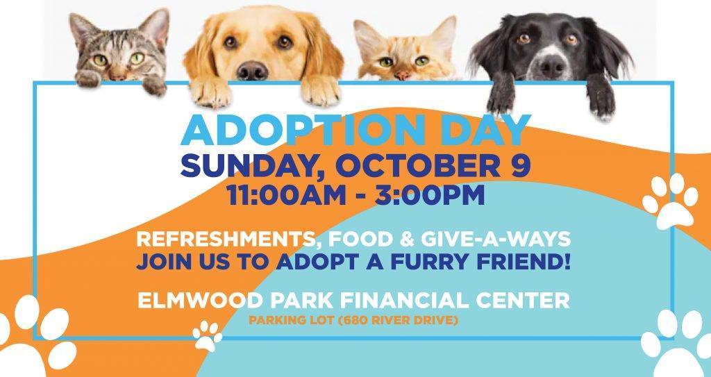 Pet Adoption Day TAPinto TAPinto Pet Adoption Day TAPinto TAPinto
