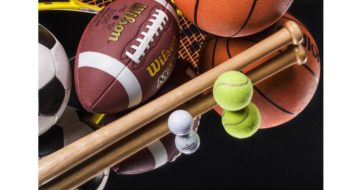 Rhino Den Fun House Programs are Returning to Cedar Grove | Verona/Cedar Grove, NJ News TAPinto ...