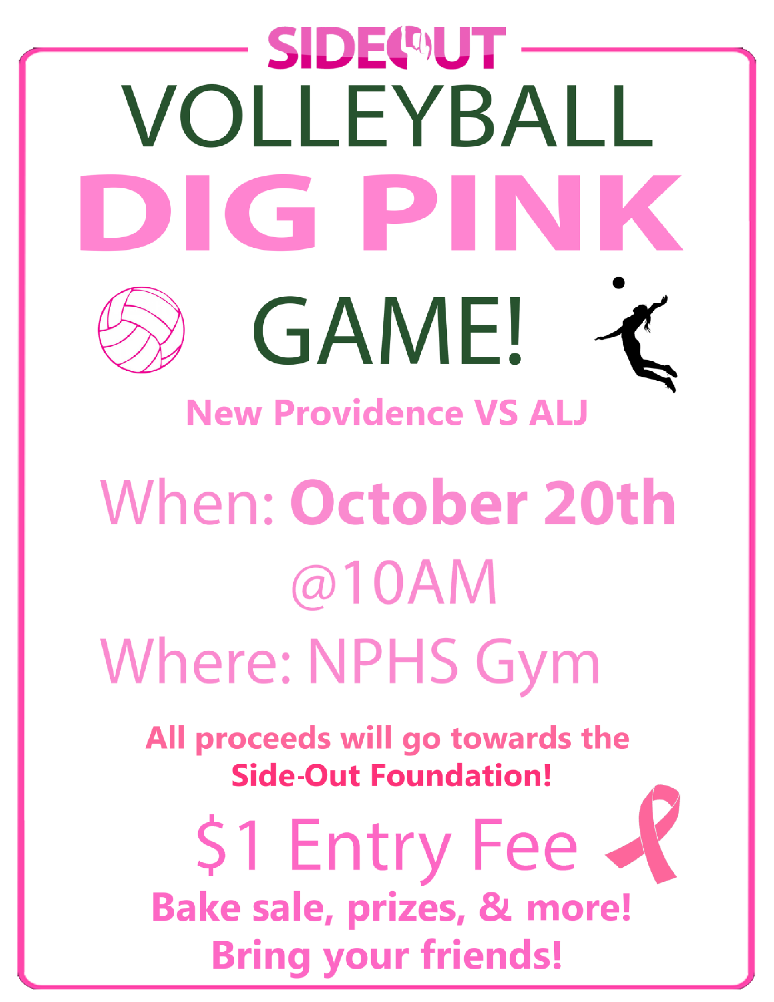 Girls Volleyball: New Providence Completes Week With a Sweep Over ...