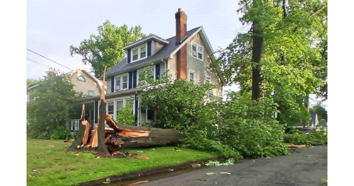 Houses, Cars 'Wiped Out' In Hackensack By Storm-Toppled Trees, Limbs ...