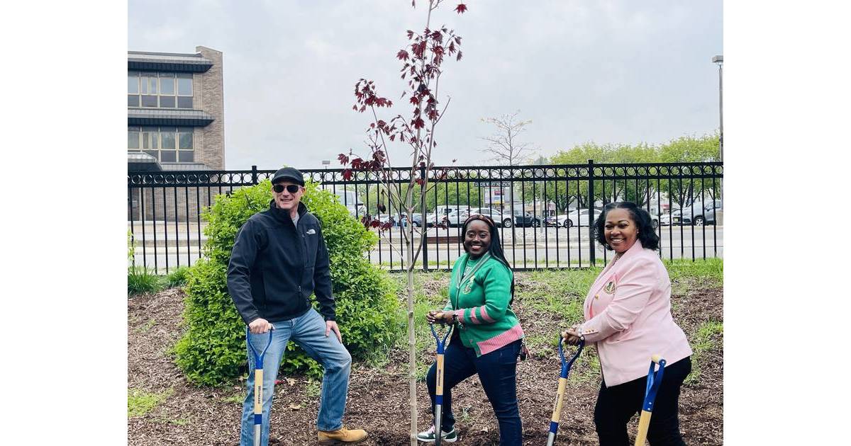 Woodland Park Celebrates Arbor Day with Two Tree Planting Events, Alpha ...