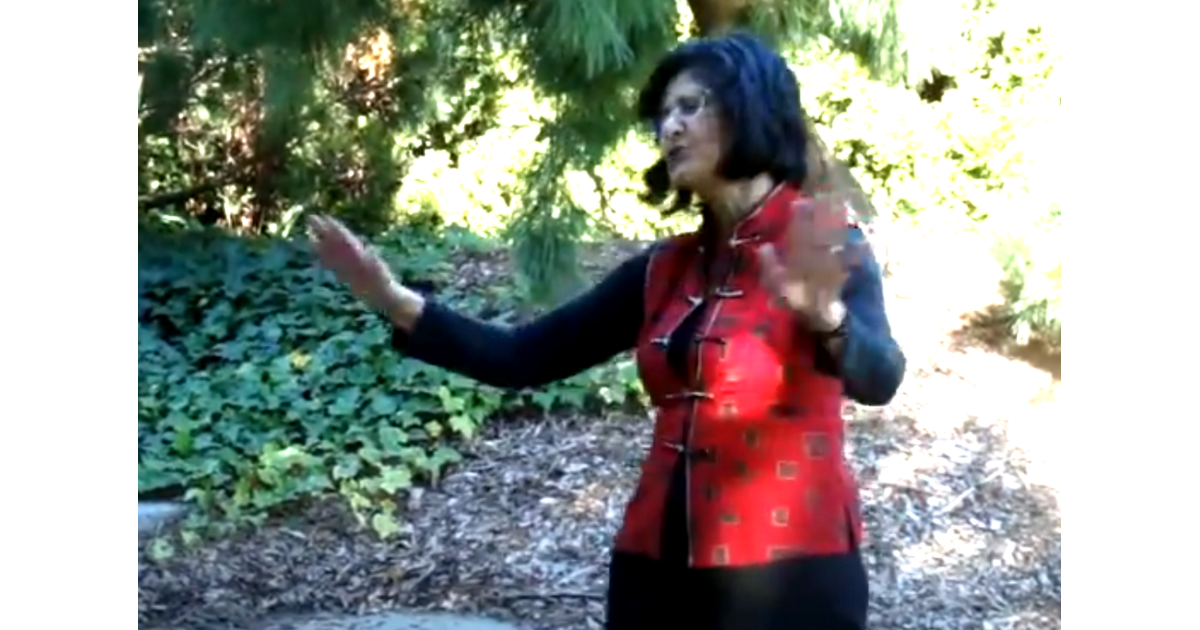 Princeton Storyteller Maria LoBiondo's Latest Story Is a Real Life Eye ...