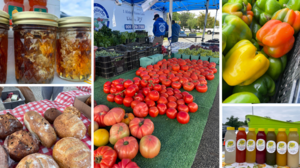 Wayne, NJ News | TAPinto