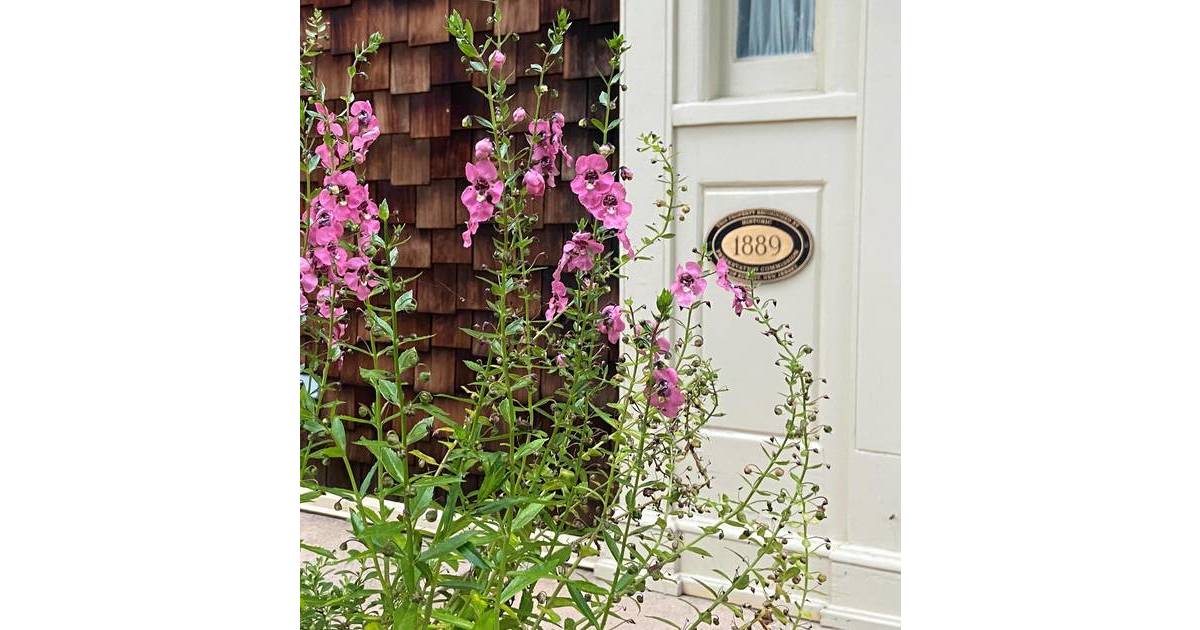 Summit’s Reeves-Reed Arboretum Received Several 2024 Grant Awards ...