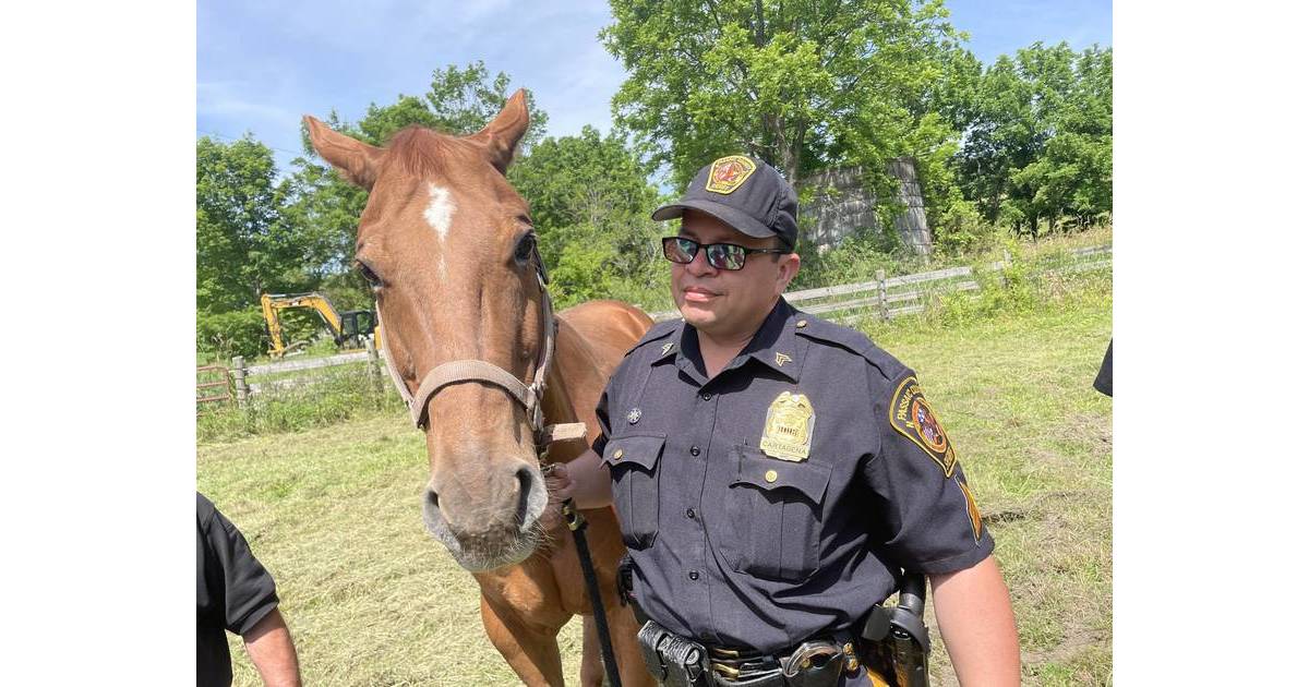 Passaic County Sheriff Richard Berdnik Celebrates 'Retirement' of Key ...