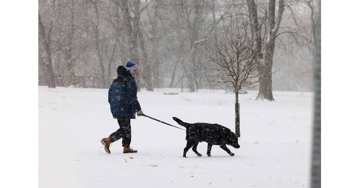 Winter Not Letting Up as Snow Falls Again (Photo Gallery) | Bridgewater ...