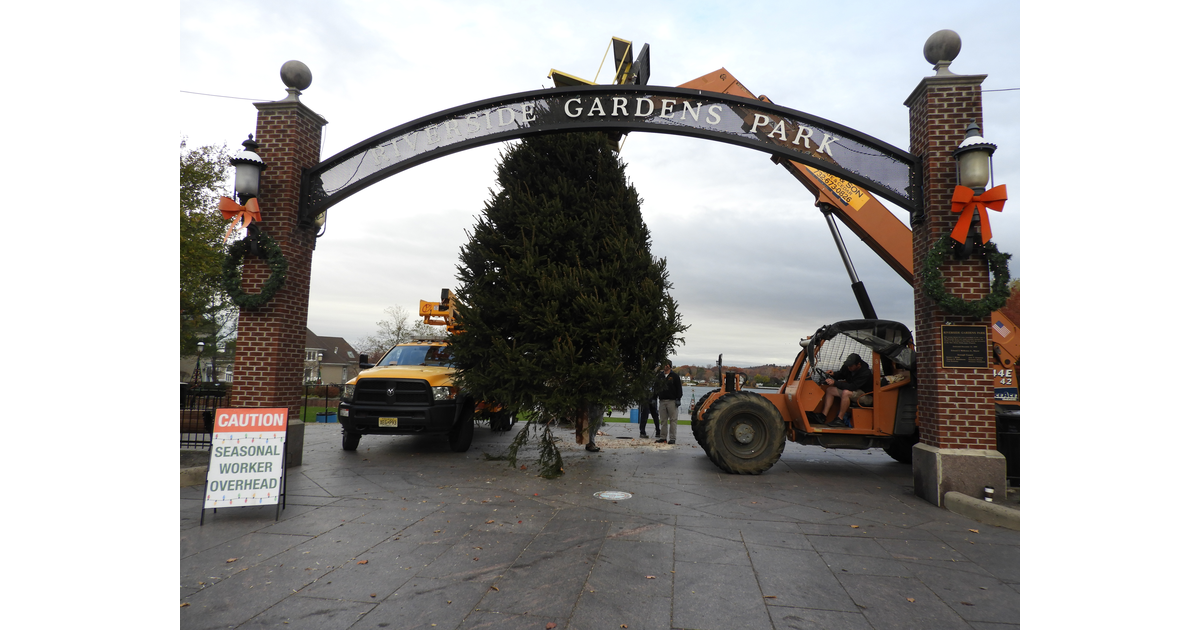 Red Bank Christmas Tree Raised in Riverside Gardens Park - Video | Red ...