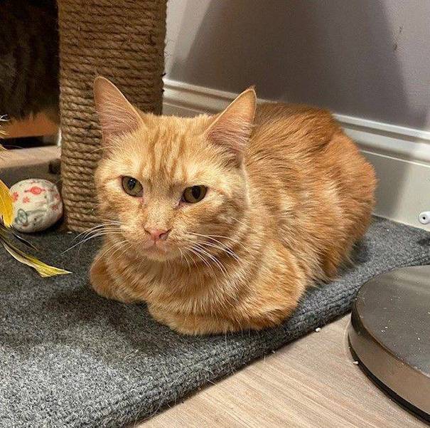 Nutley, NJ Local News | TAPinto