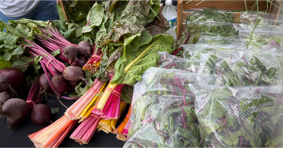 How We Saved 50% on our Shopping Bill by Visting the Phillipsburg ...