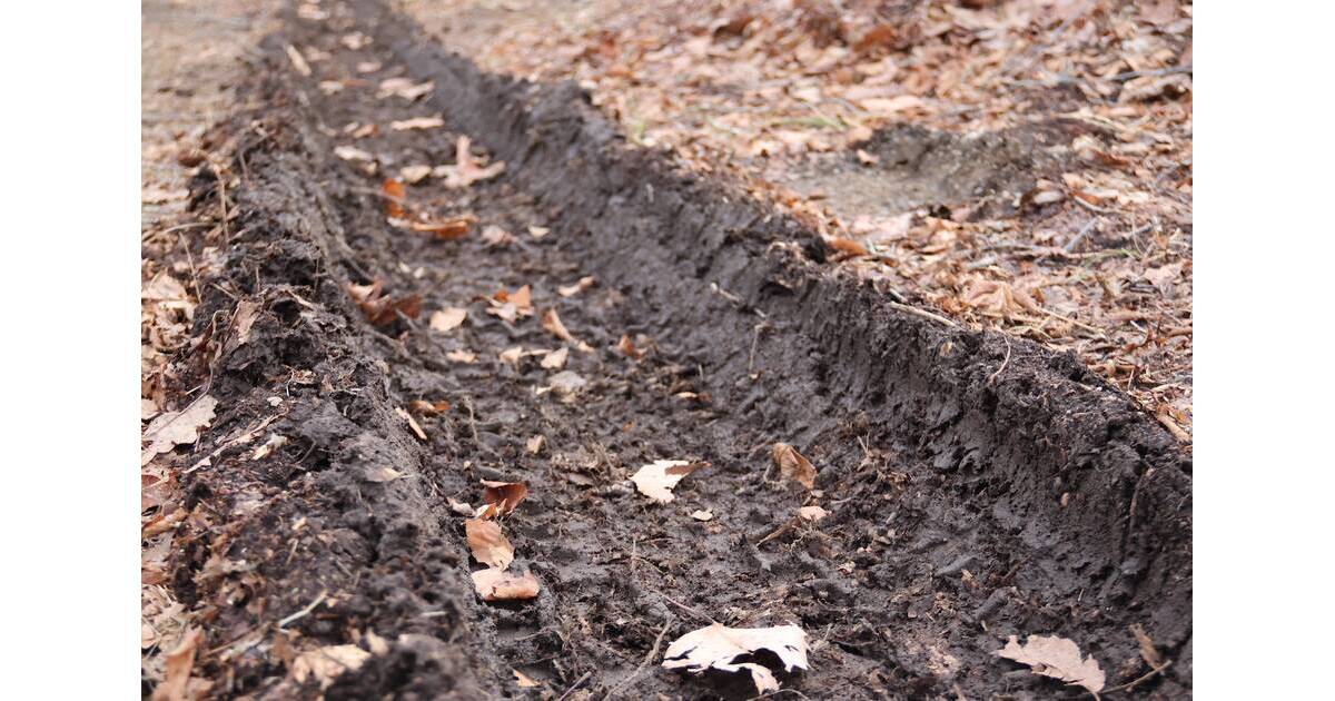 Sparta Mountain Forest Plan to be Presented by NJ DEP at Township ...