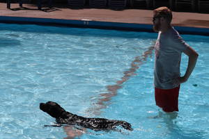 Doylestown, PA Local News | TAPinto