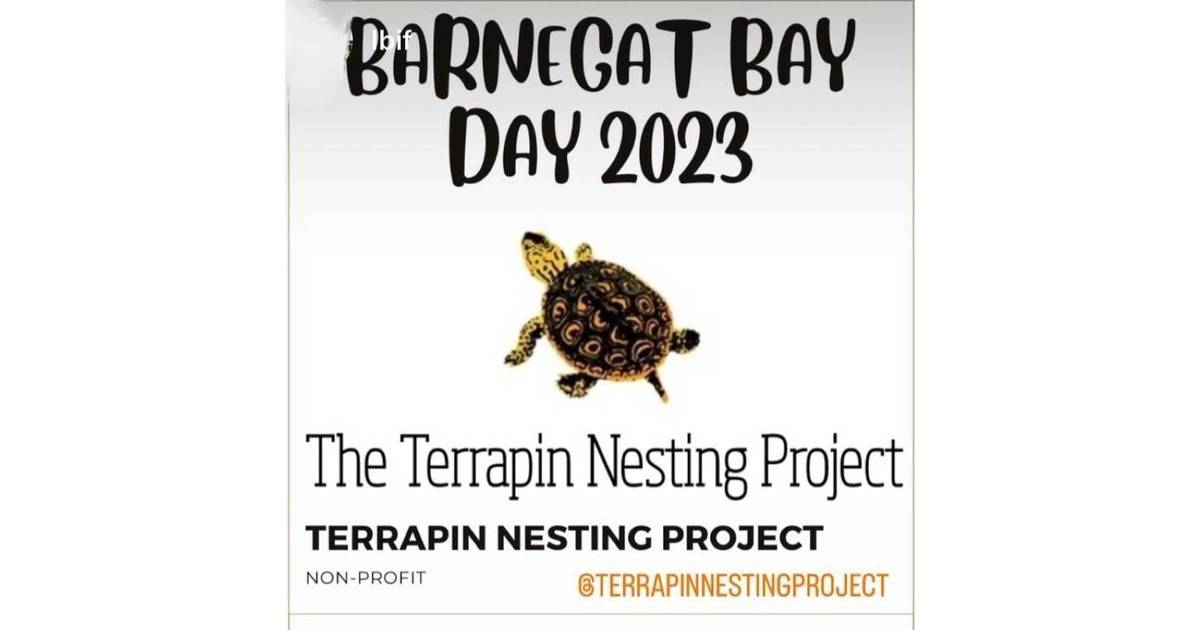 Barnegat Bay Day: Family Hands-on Learning Experience about Terrapin ...