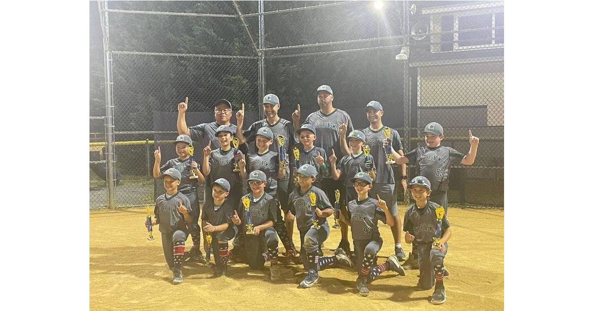 East Brunswick Cubs Win Make-A-Wish 9A Baseball Championship | East ...