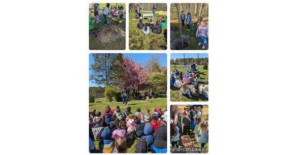 Lillian Dunfee School Celebrates Arbor Day | Barnegat/Waretown, NJ News ...