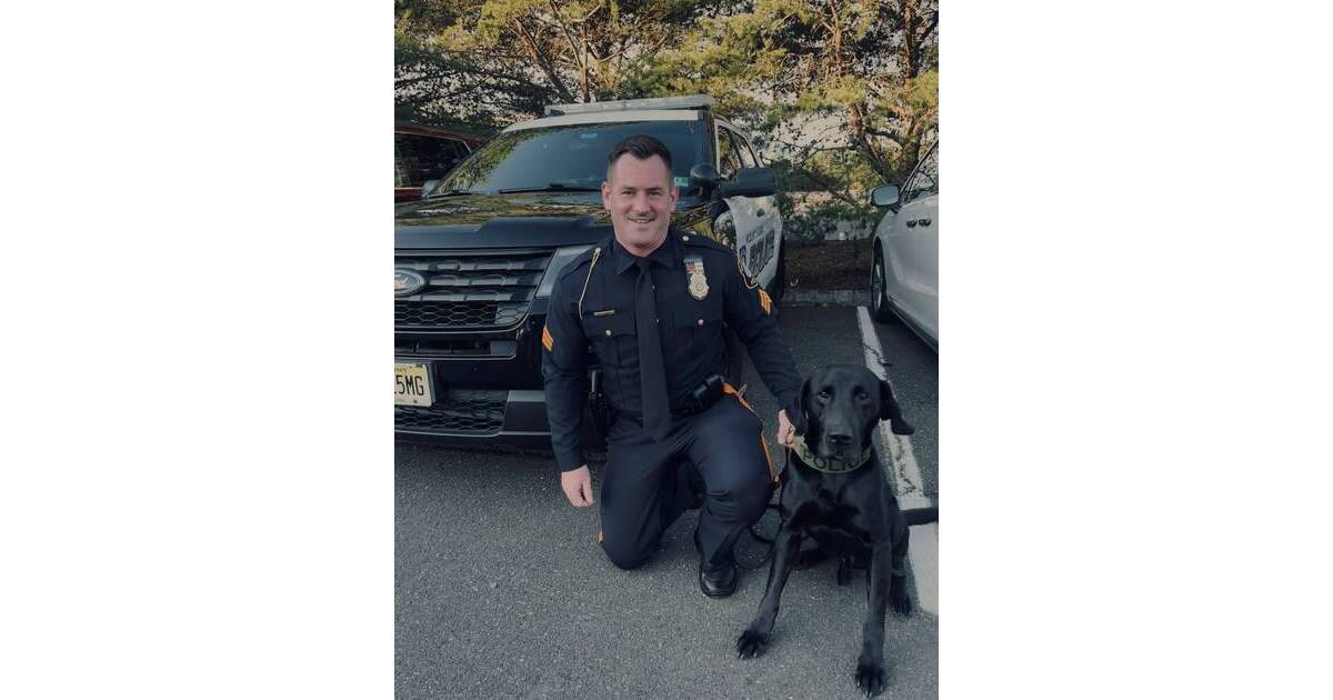 Mt. Laurel Police Sergeant Honored for Dedication to Preventing ...