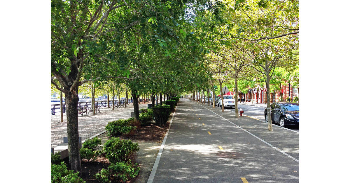 Next Phase Improvements Of South Waterfront Walkway, Bike Path To Begin ...