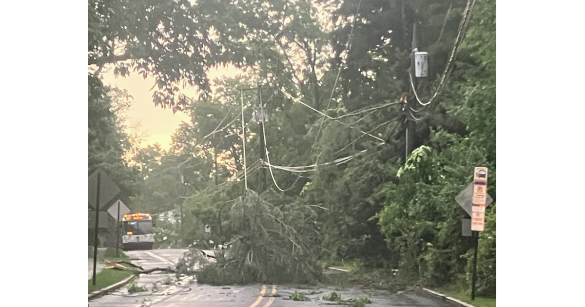 Despite the Storm, the Show Goes On for the Princeton Festival -- and ...
