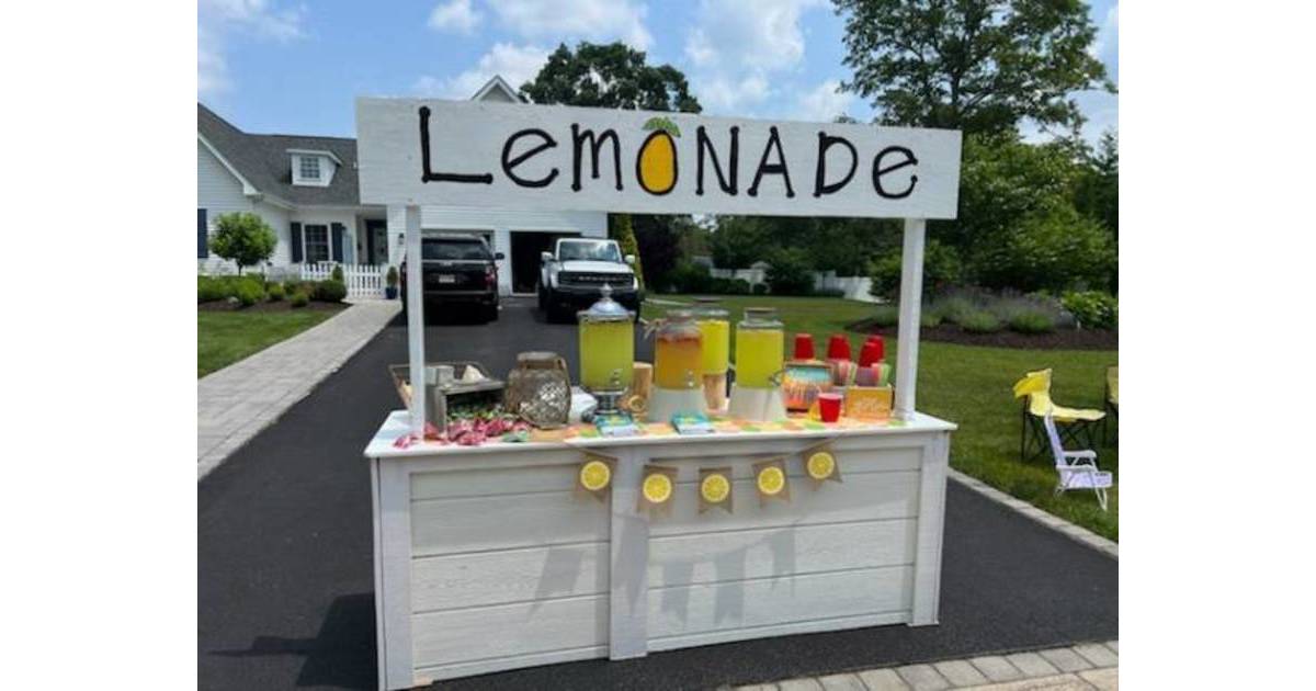 Local Twins Run an Extremely Successful Lemonade Stand for a Local ...