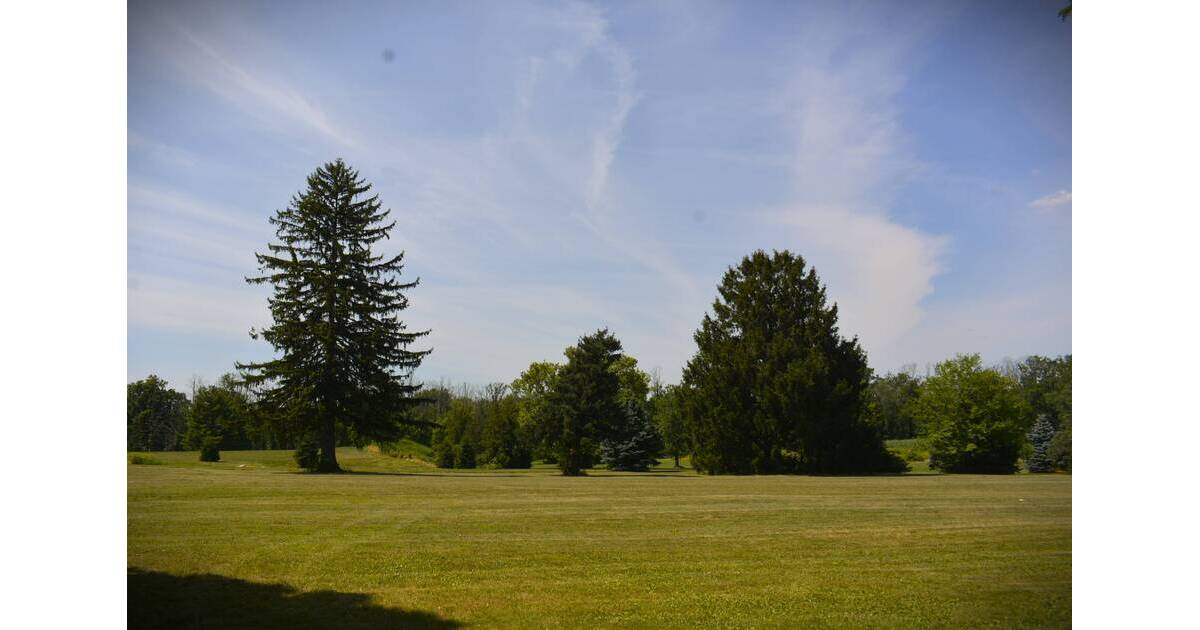 Touch-a-Truck Coming to Oak Ridge Park in Clark! | Clark, NJ News ...