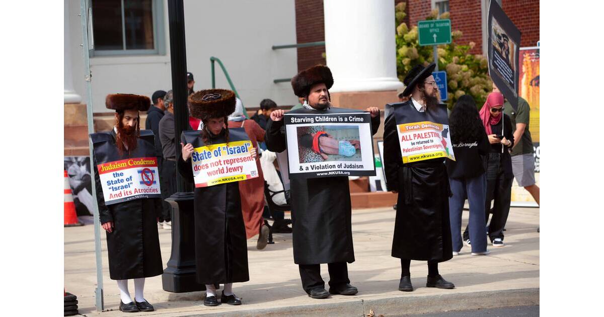 Protest for Peace in Palestine Held in Front of Flemington Courthouse ...