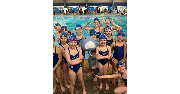 Westfield Area YMCA Devilfish Compete at YMCA 8 & Under Championships | Westfield, NJ News TAPinto