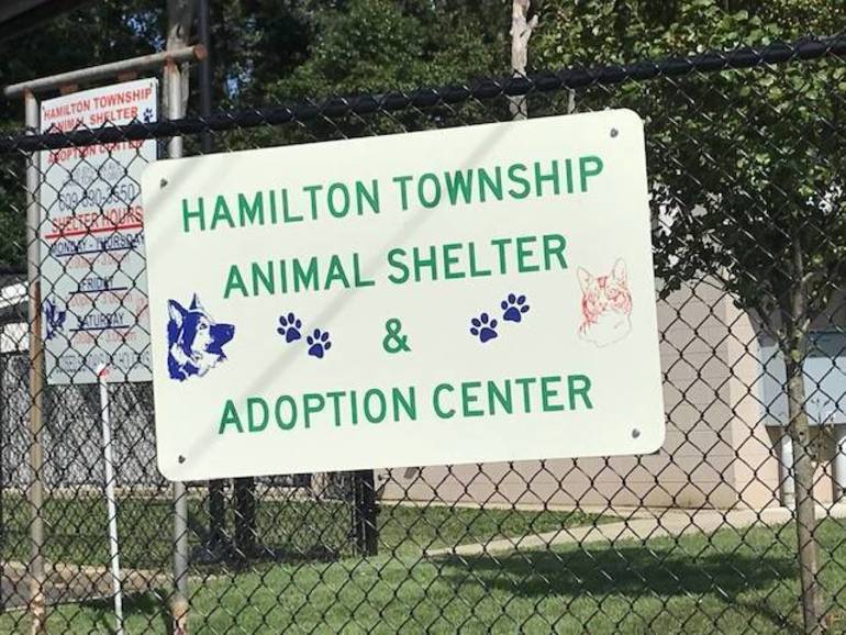 Hamilton Animal Shelter Proves to be Deep Divide between Mayoral ...