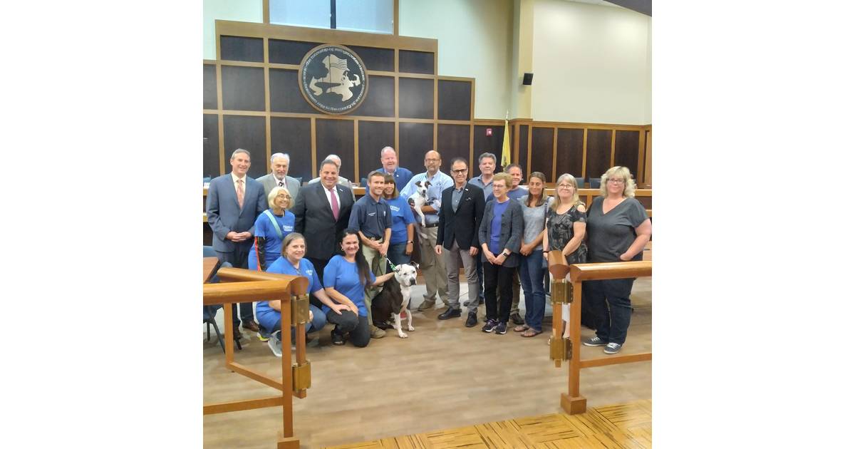 Bridgewater Recognizes Regional Animal Shelter for Adopt a Shelter Dog ...