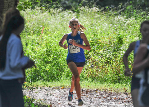 Allstate Westfield Athlete of the Week: Sarah Hacker | TAPinto