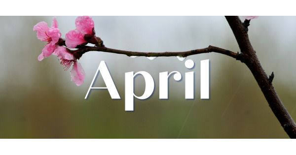 Take care of your health! Join the online wellness events in April ...