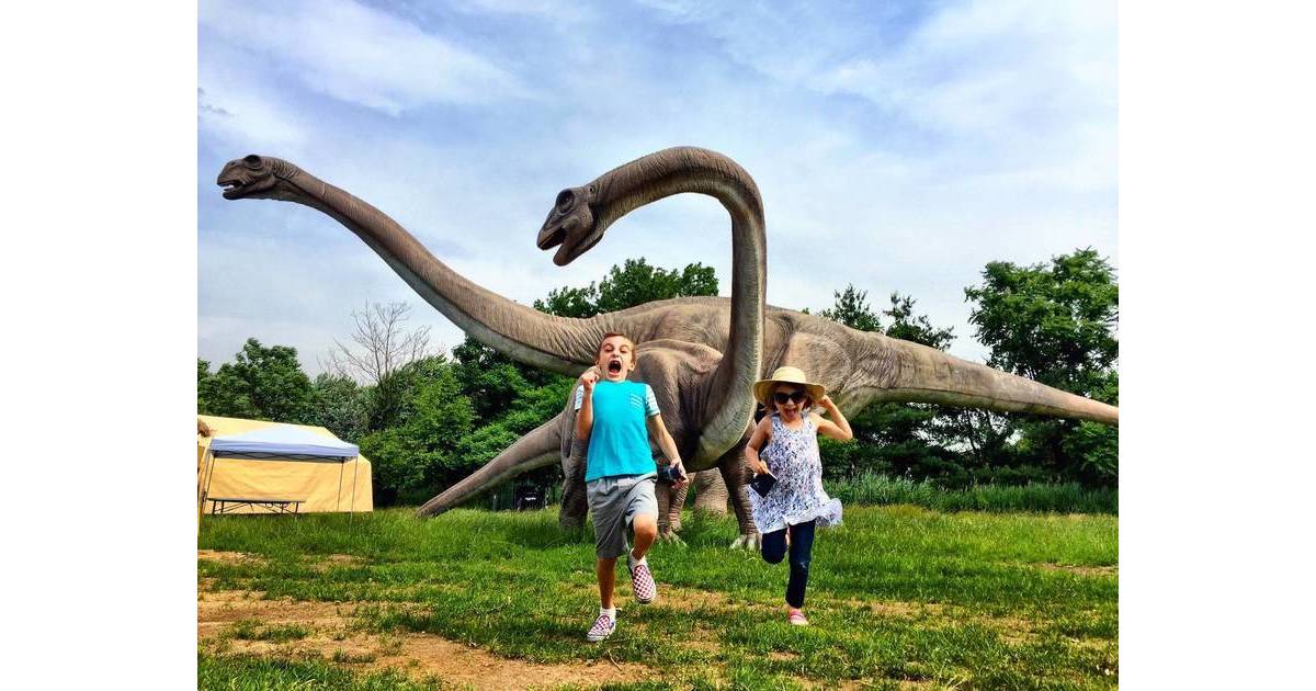 Dinosaur Summer Camp: Meadowlands YMCA Teams Up with Field Station ...