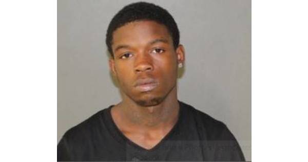 Caught in the Act by Witnesses: Hamilton Police Arrest Two for Car ...