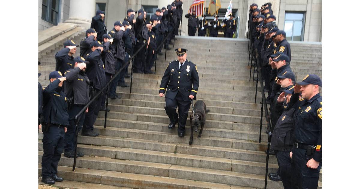 Kenilworth Native Retires Union County Sheriffs K-9 Unit with Over 25 ...