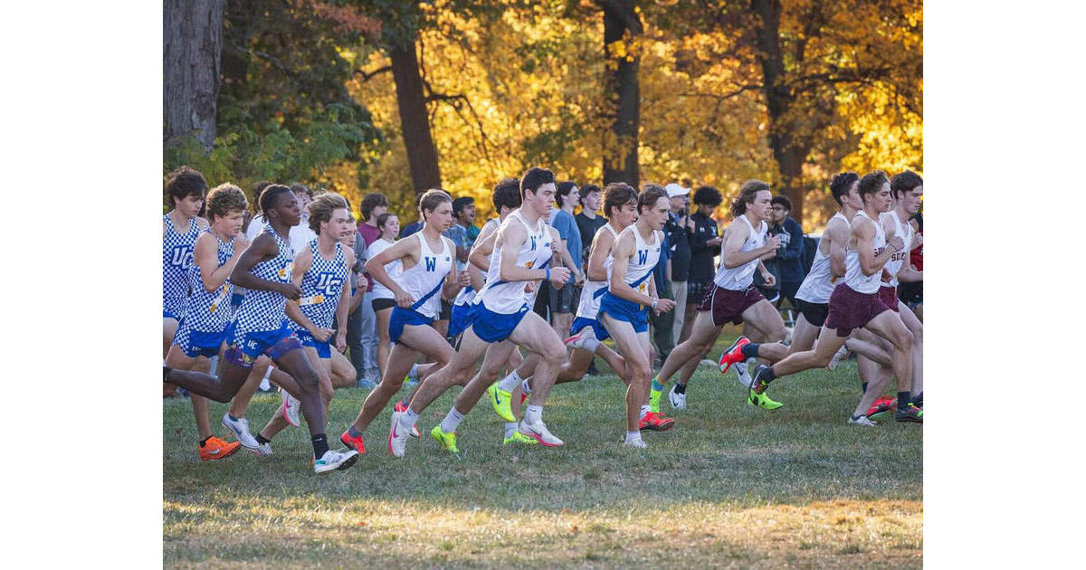 Cross Country: Westfield Boys Crowned County Champions; Girls Place ...