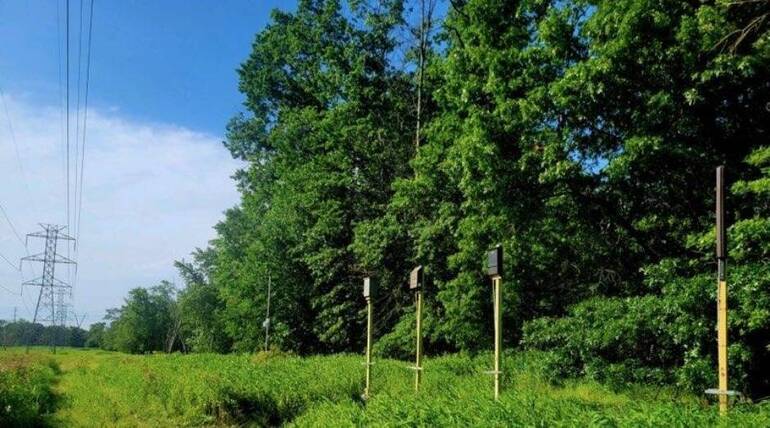 Roxbury, NJ Local News | TAPinto