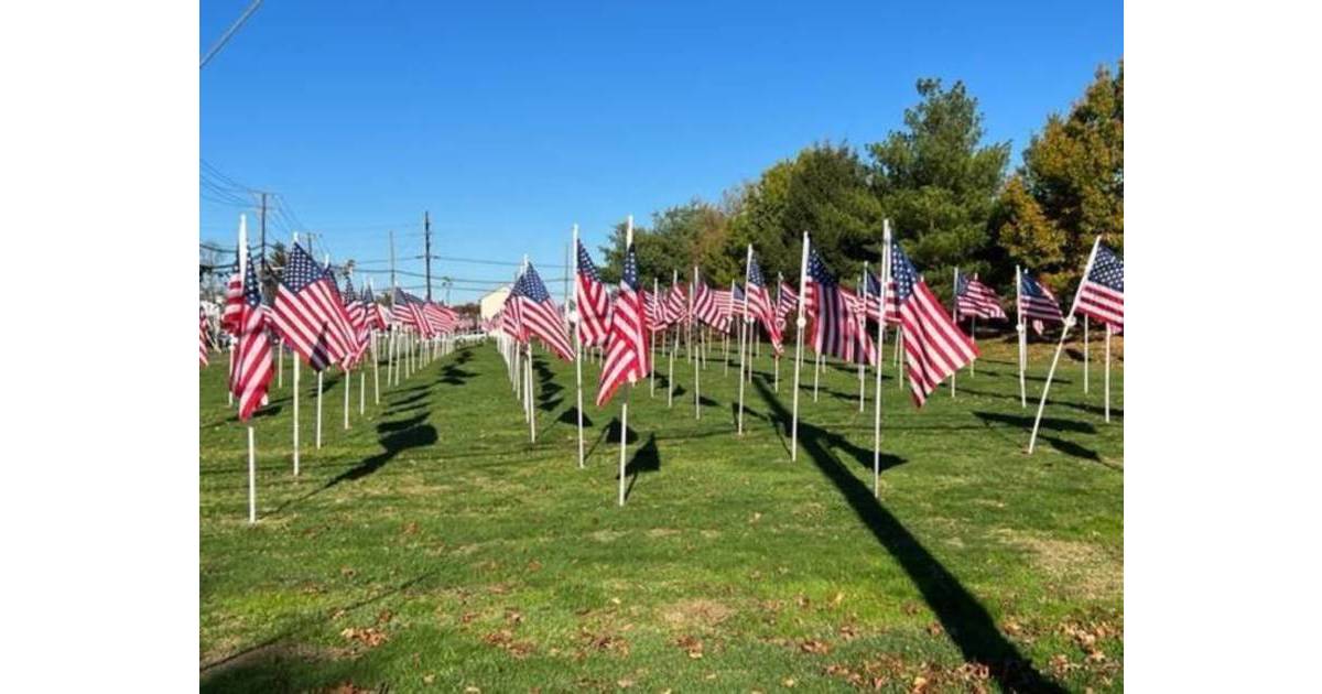 More Than 300 Flags for Heroes Fly at RWJ Hamilton to Honor Community ...