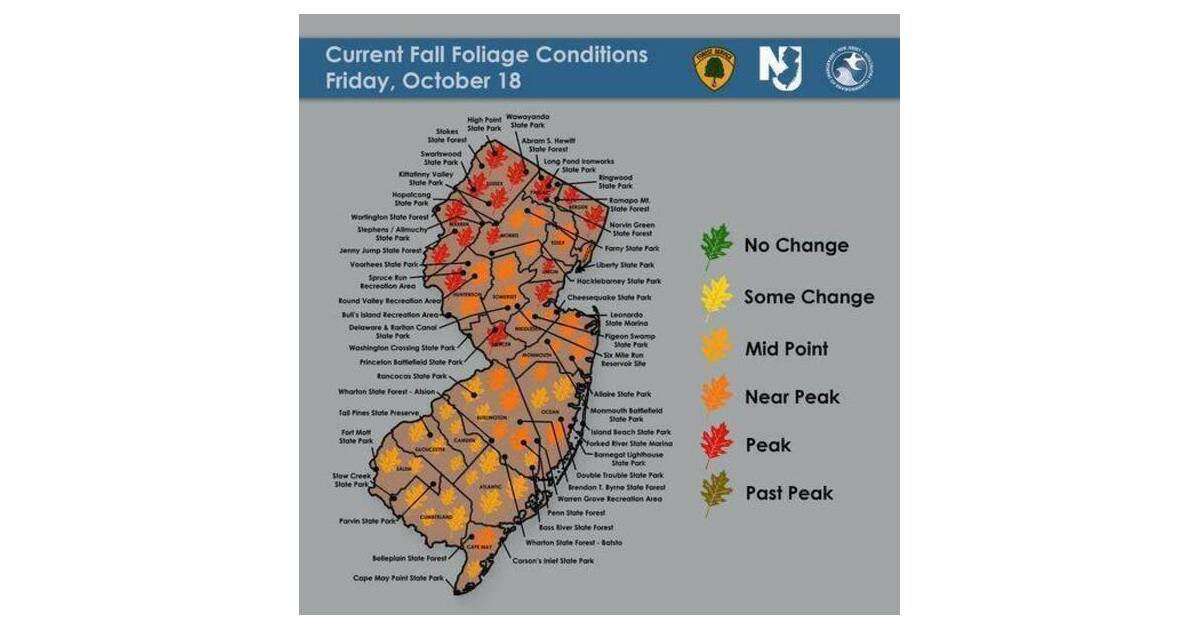 Fall Foliage Update: Peak Time for Leaf-Peeping in the Garden State ...