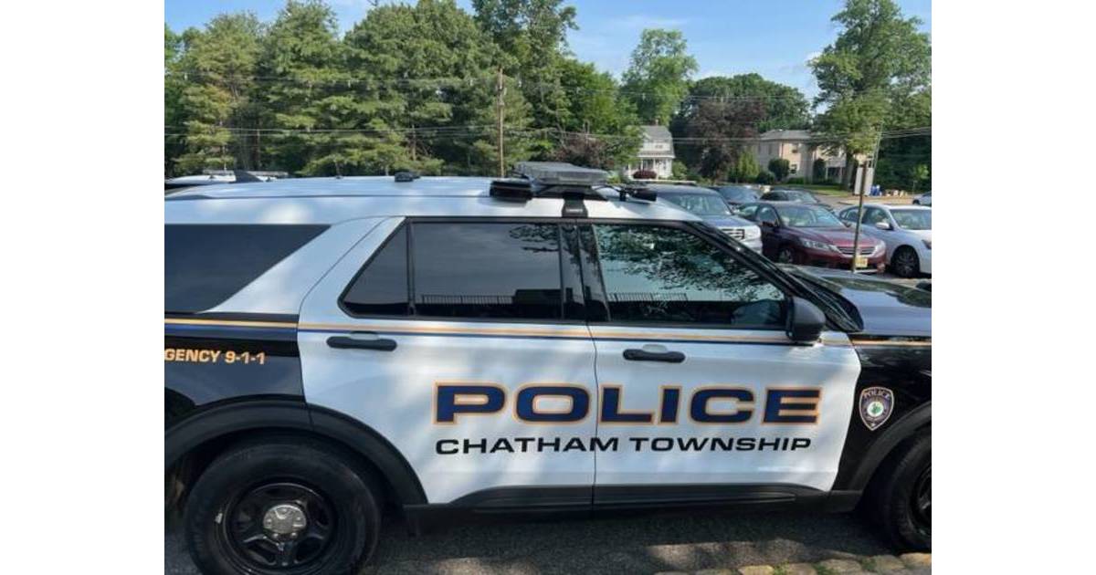 Chatham Township Police Report Arrests Made for Package Stolen from ...