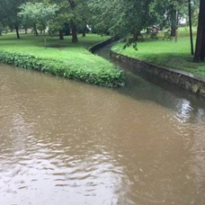 Nutley Girls Recreation Softball and Travel Softball Registration Now ...