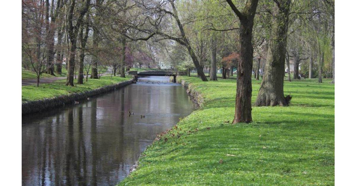 Post Pandemic, Township of Nutley Continues Tradition of Outstanding ...