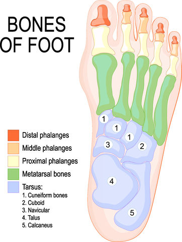 Broken Bones Out Of Skin Soccer
