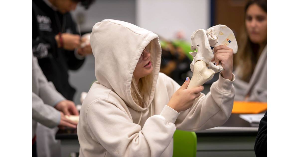 Forensic Science Course Success at Randolph High School | Randolph, NJ ...