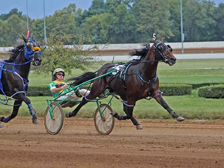 Two Horses Born In New Jersey Headed To Harness Racing Hall Of Fame ...