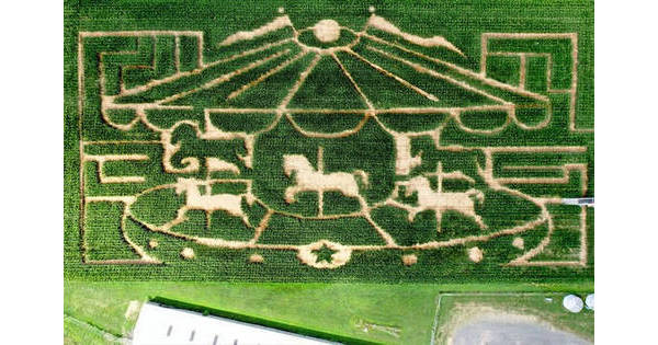Get Lost in the Carousel Corn Maze at Mercer's Howell Living History ...
