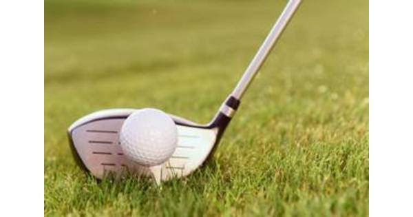8 Madison Golfers Receive Post Season Honors | Madison, NJ News TAPinto